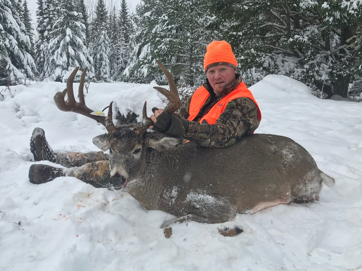 All Inclusive Hunting Packages Ontario Wolf Whitetail And Bear Hunting Rates Ontario